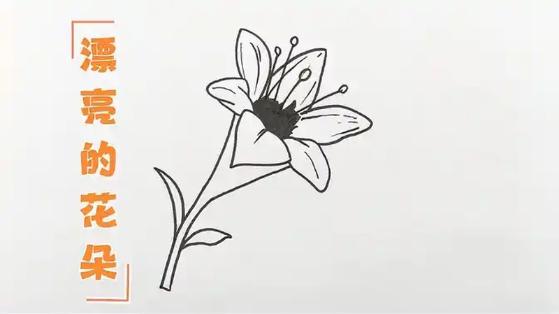 花怎么画高级又简单,绘画高级感又好看的花朵