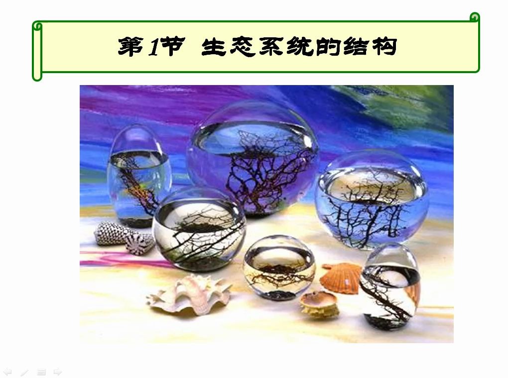 (学考)第5章第1节生态系统的结构