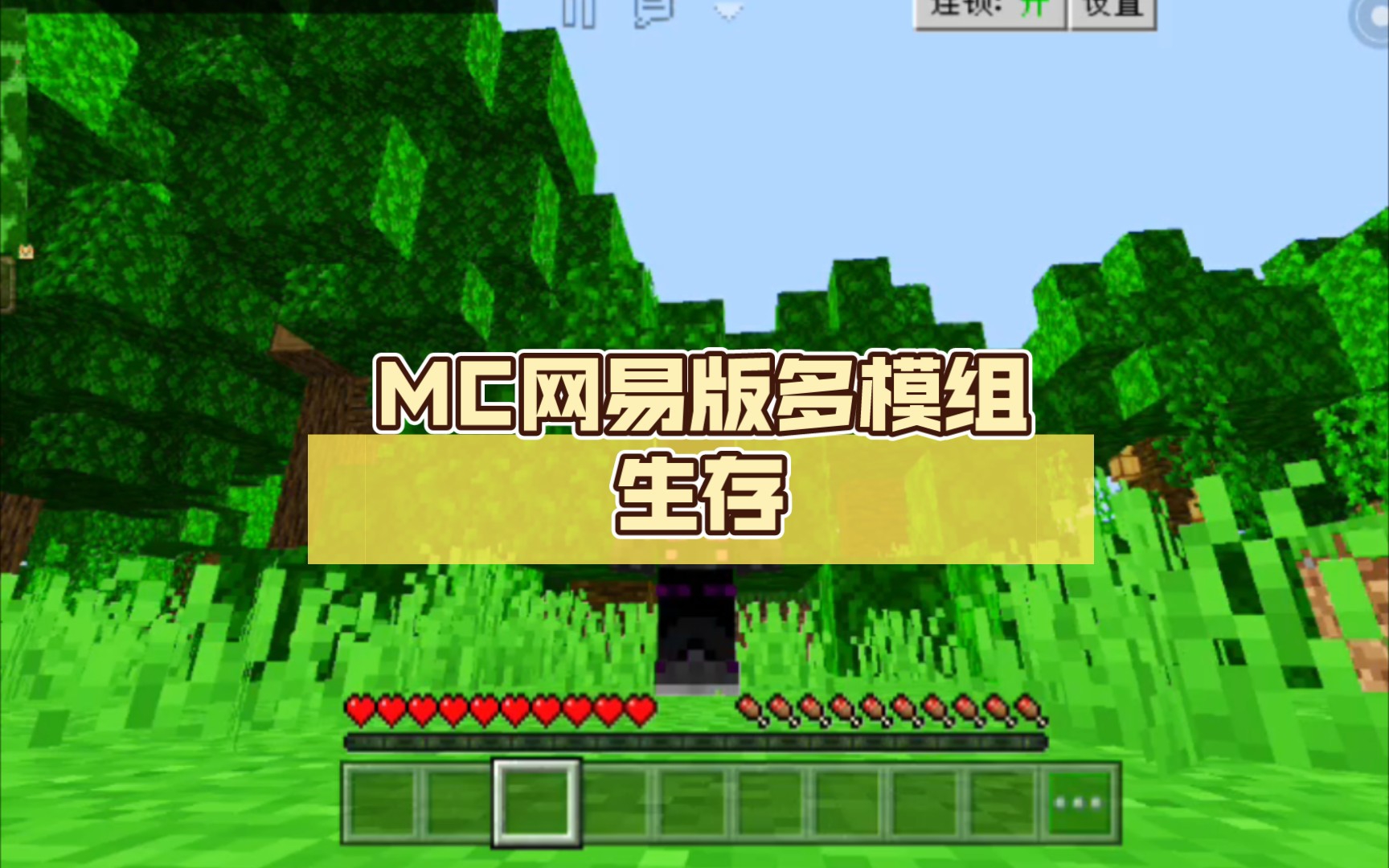 MC网易版多模组极限生存