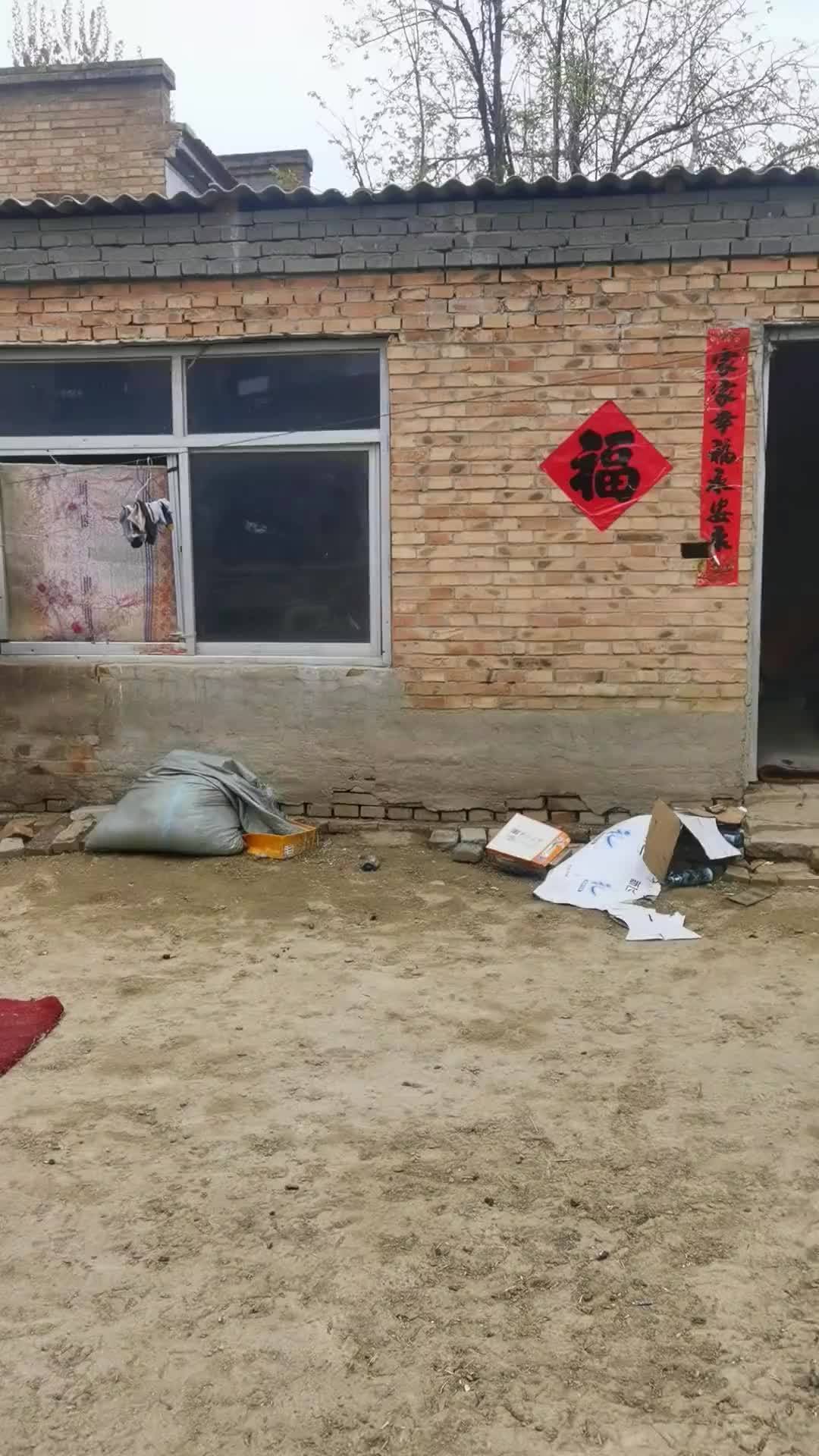 失误在所难免民间艺术表演,高难度动作请勿模仿!