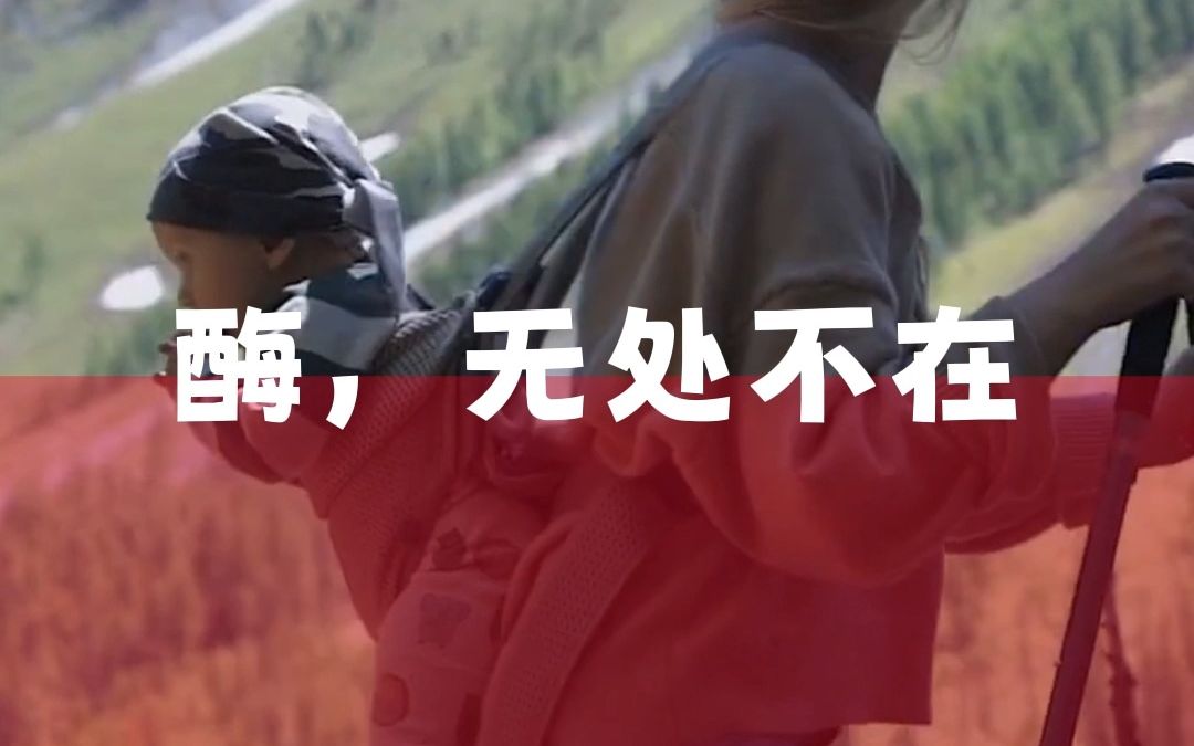 酶:生命中的奇迹,微小而强大的生物分子 酶其实无处不在,它们在我们的...