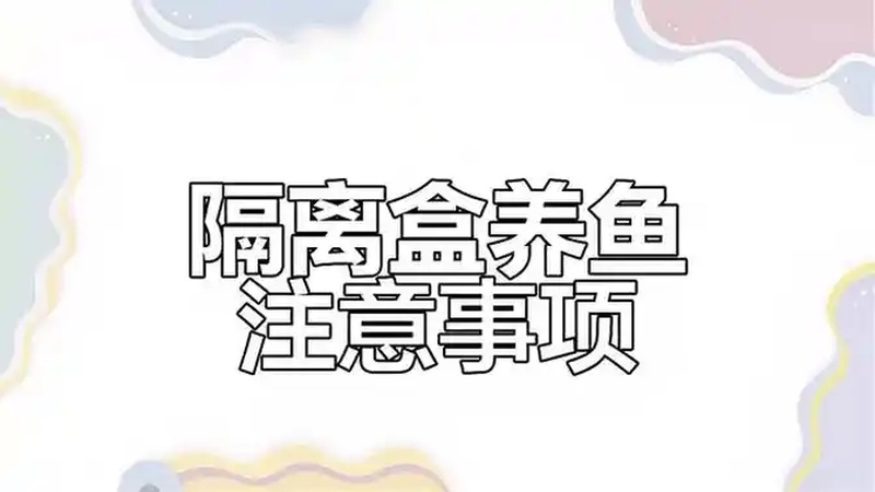 孔雀鱼隔离盒饲养误区,密度过大水质变差是元凶