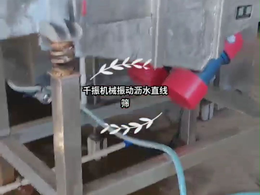 剁椒振动筛千振机械直线振动筛辣椒分级设备