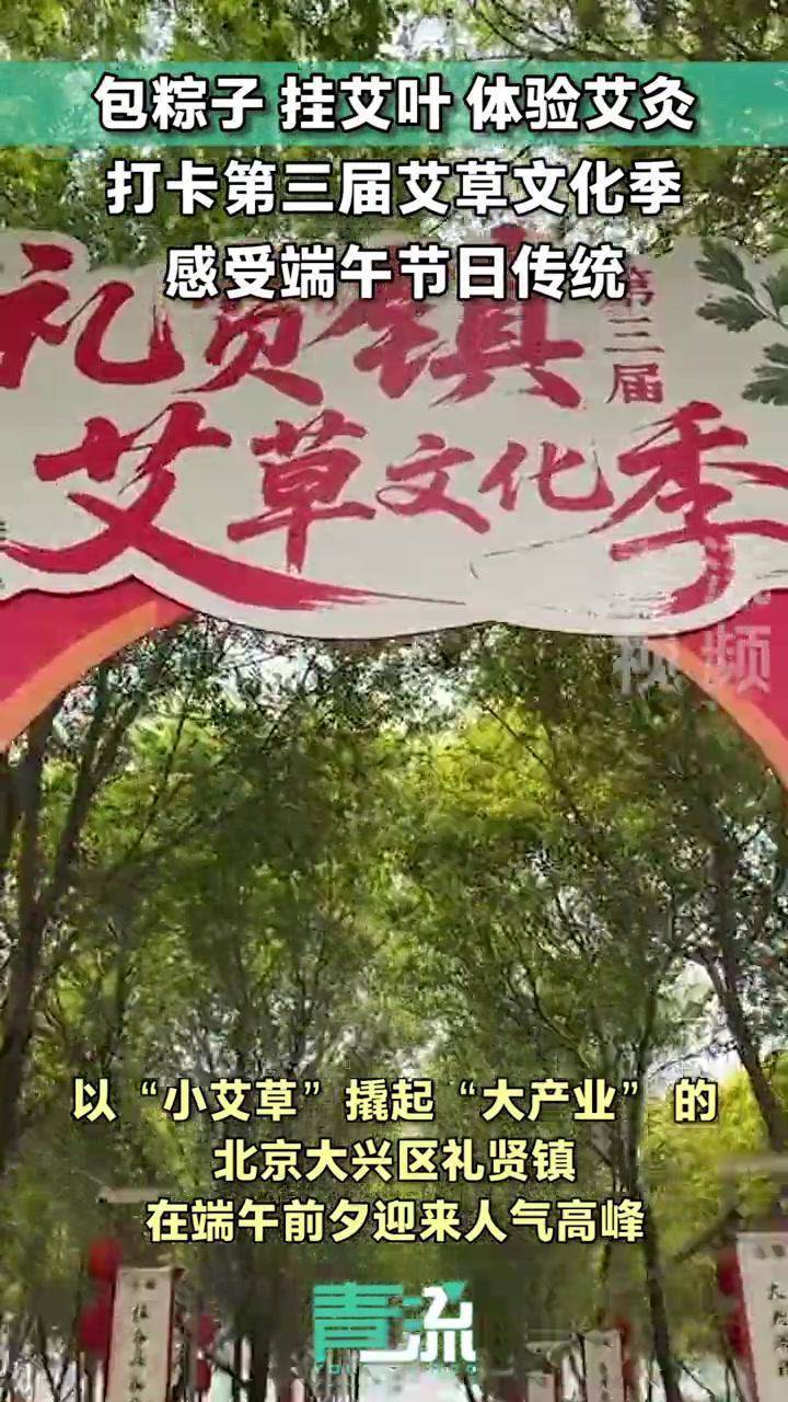 打卡第三届艾草文化季感受端午节日传统文化