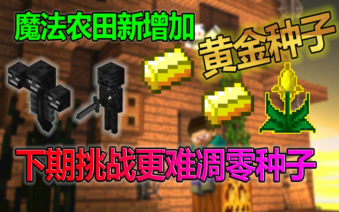 我的世界:钻石黄金种子都有了!做好准备?下期挑战最难凋零种子