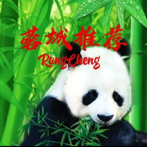 蓉城推荐 