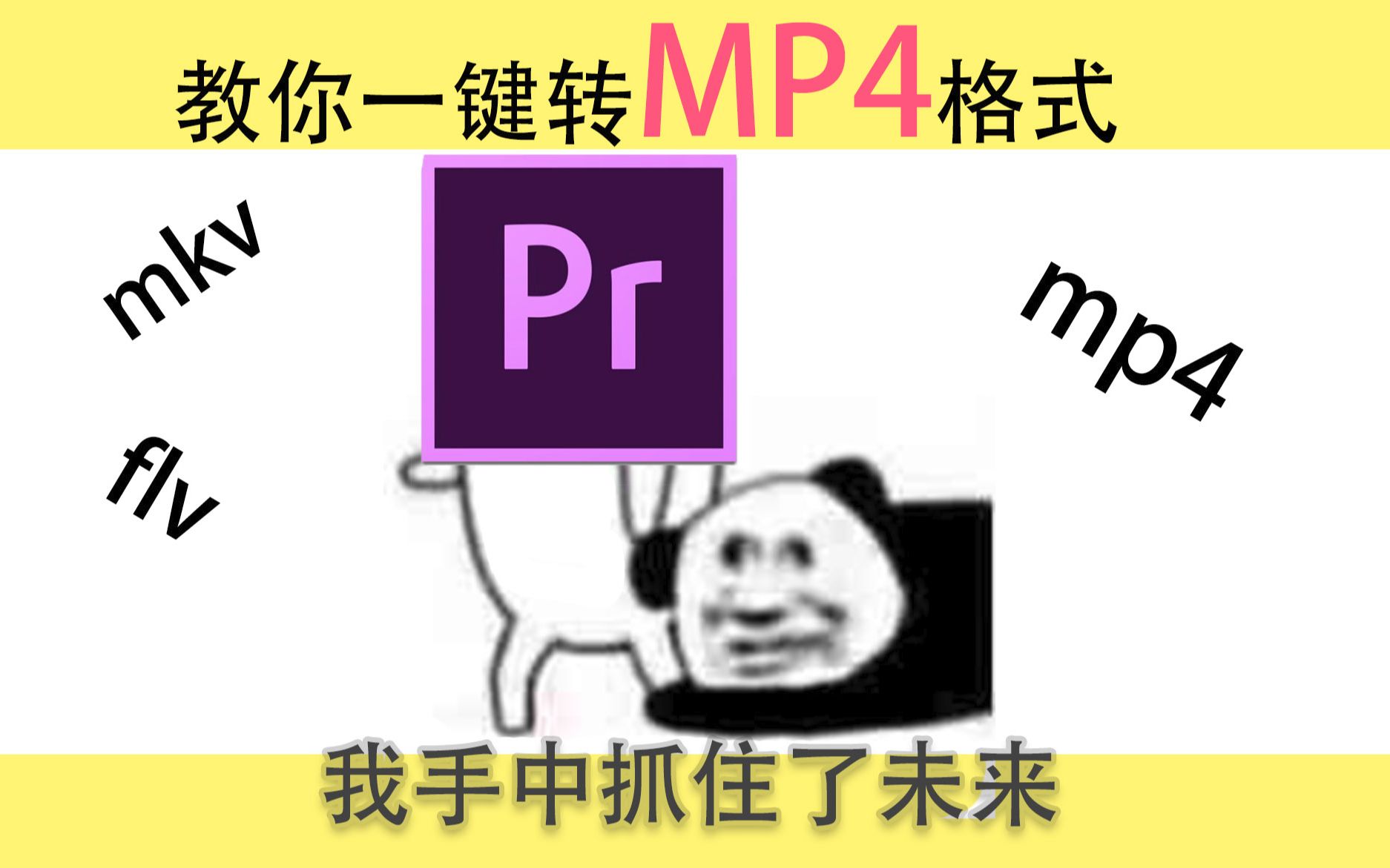 【PR教程】MKV不能导入Pr怎么办?一键转换了解一下