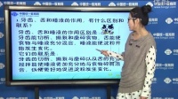 第二章 第二节 消化和吸收