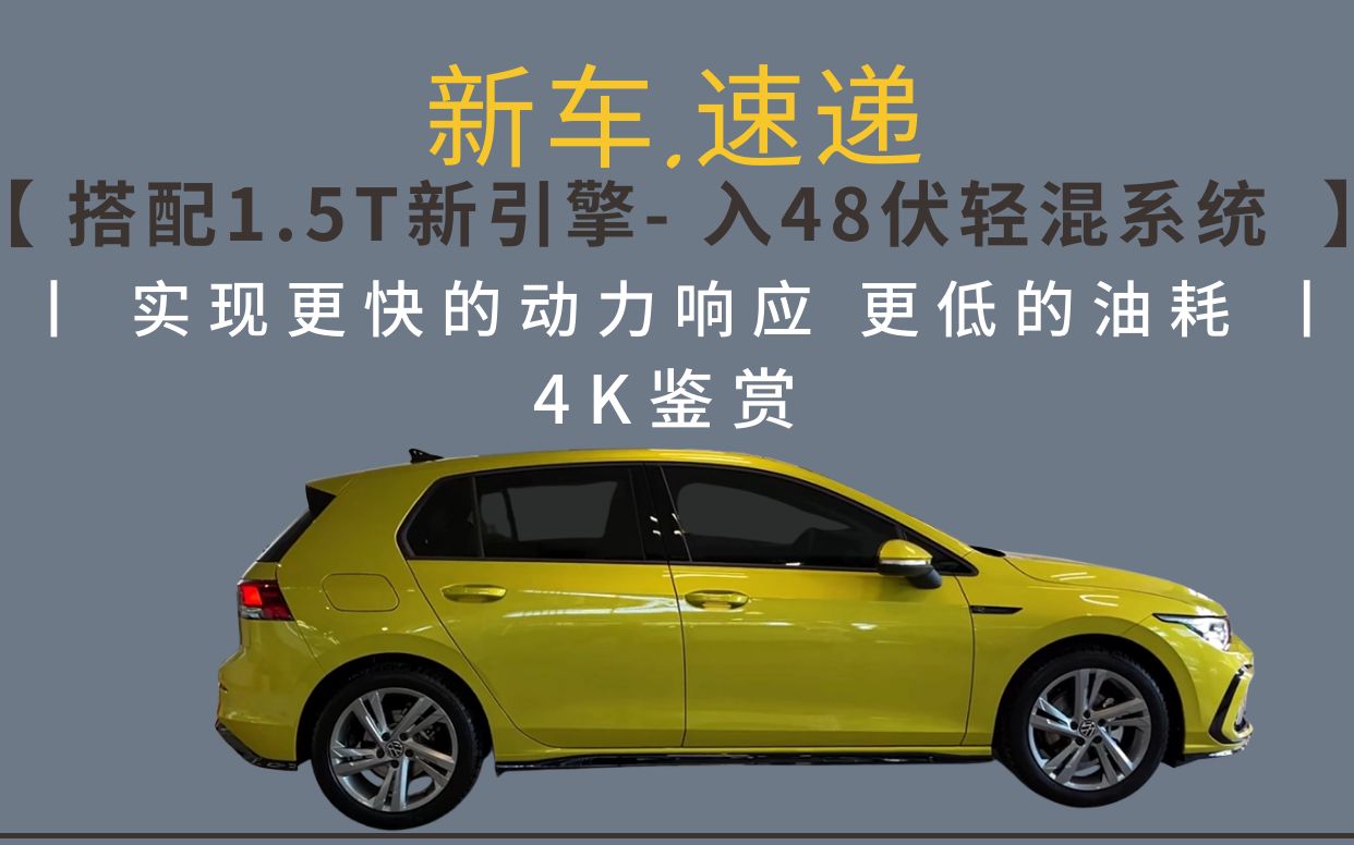 2022款大众高尔夫-浓郁的小钢炮/小改款