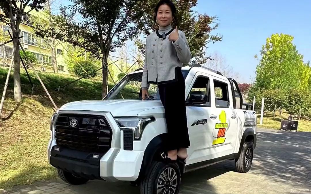 电动皮卡车 无需驾证,仅需2万多,能载人能拉货,大尺寸,装货多,四门五座...