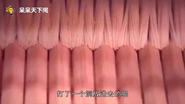 铅笔中的笔芯,究竟是怎么弄进去的?看完视频解开我多年疑惑