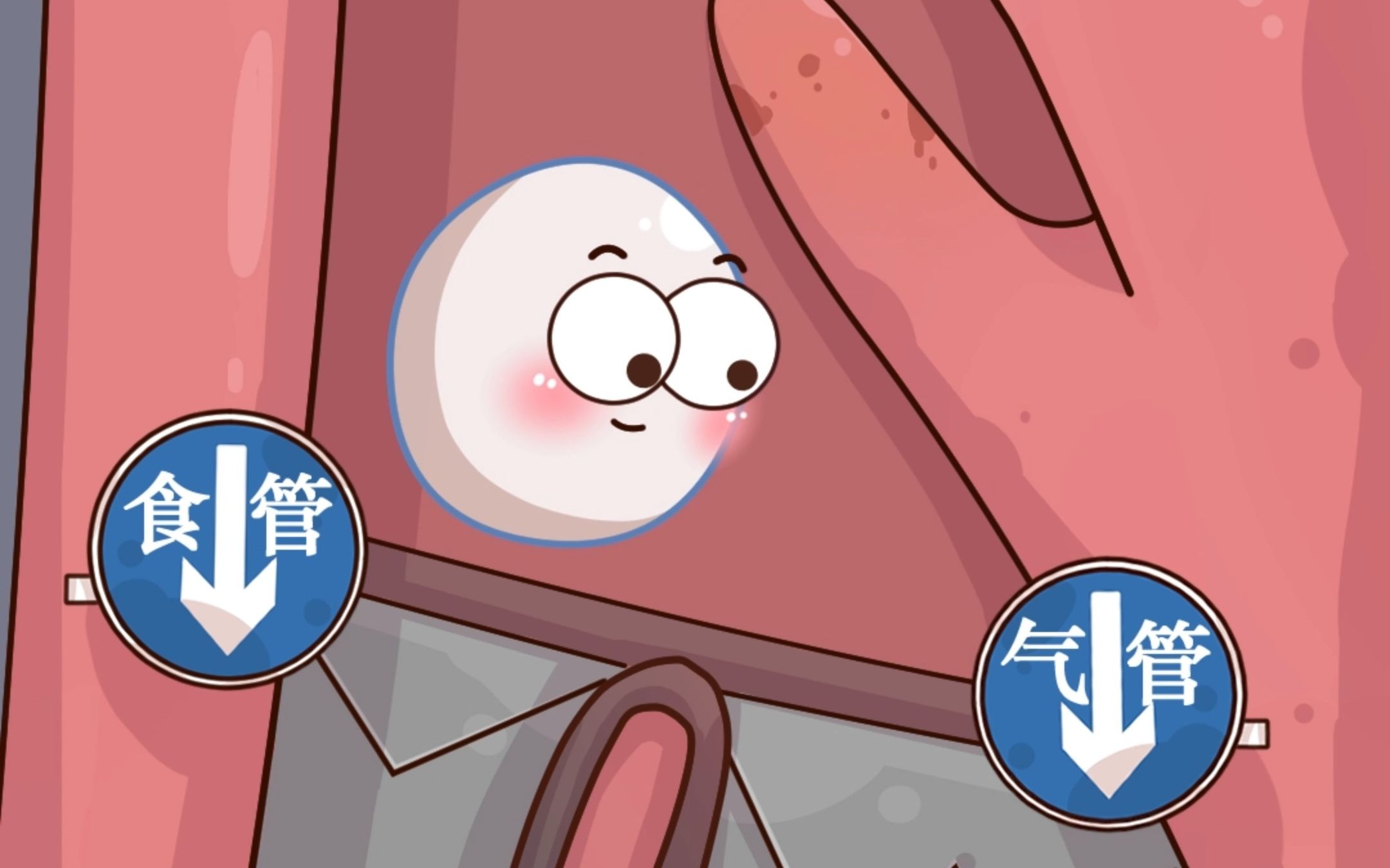 食管和气管连着可坏事