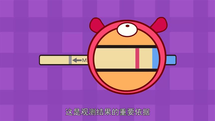 排卵试纸该怎么看?怎么知道自己是不是排卵?戳视频↓↓