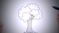 儿童简笔画:如何一步一步地绘制树木 简笔画教学视频