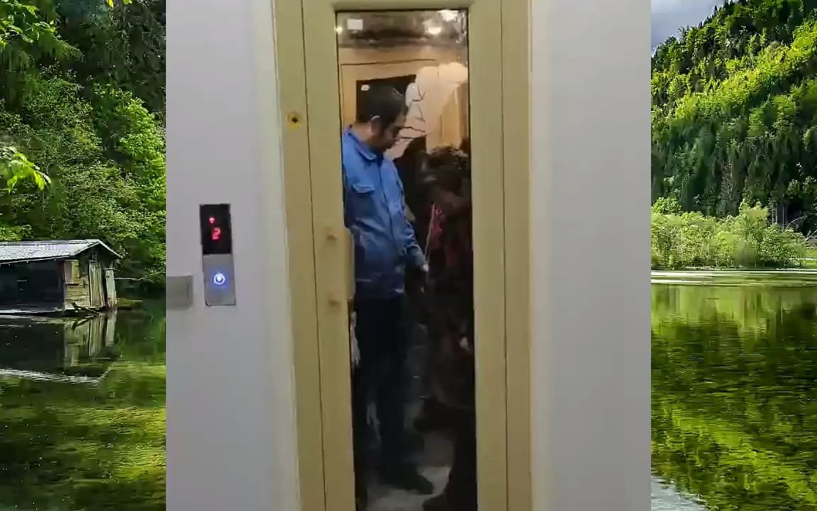 中国家用电梯十大排名别墅电梯品牌排行榜家用小型电梯