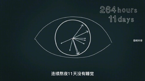 你们知道熬夜会对身体造成什么危害吗?接下来本期视频带你了解一