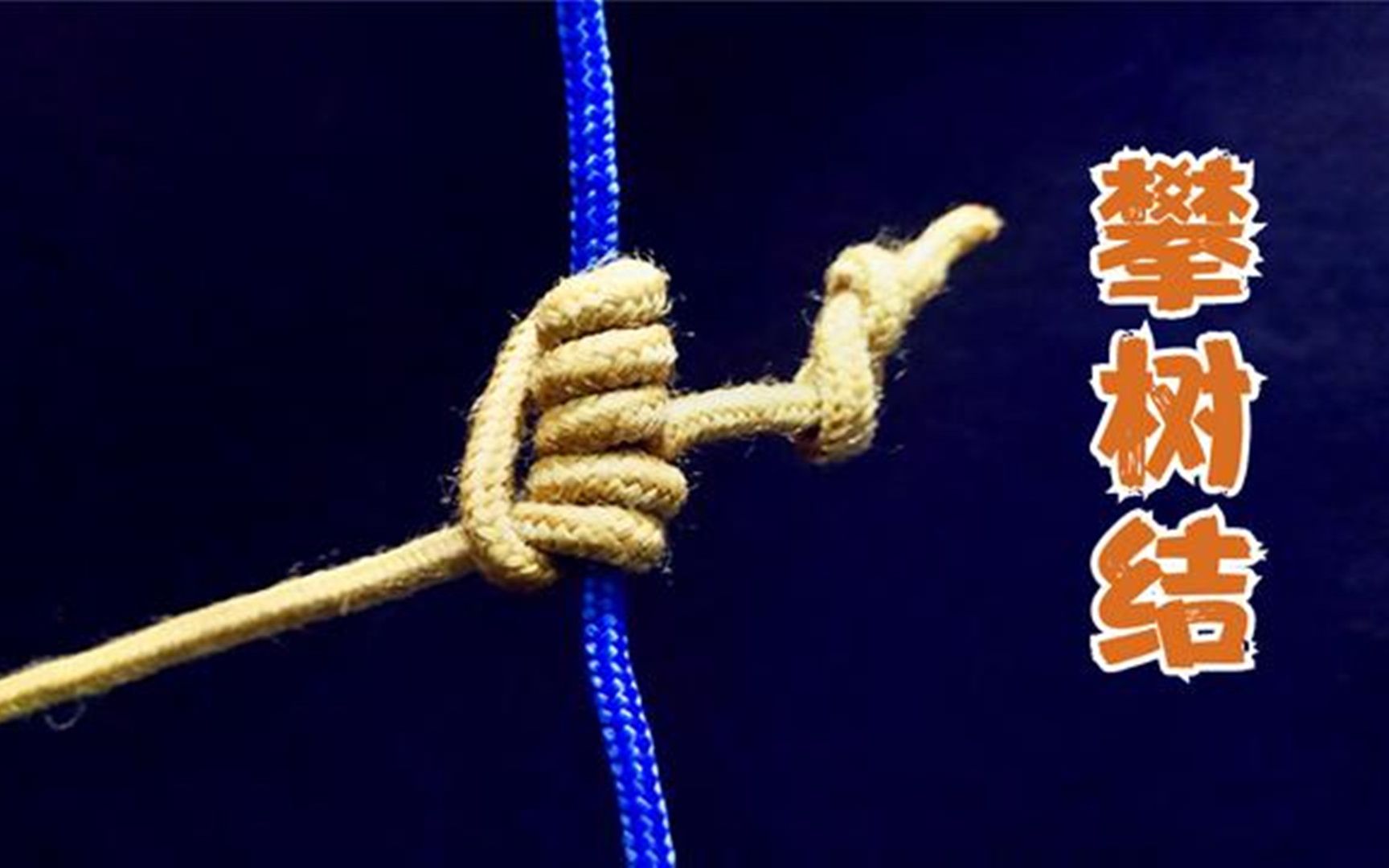 “攀树结”户外攀岩探险经常使用,上下攀爬都会用上的布莱克抓结