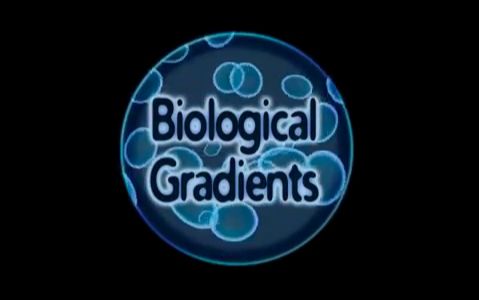 质子浓度梯度与ATP生成 Gradients (ATP Synthases) [英文字幕]