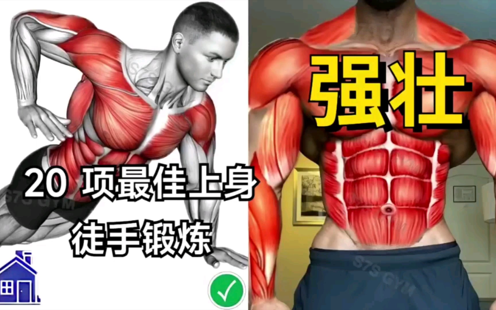如何在家徒手提升自己的肌肉力量,这20个动作可以完美的帮助你,锻炼...