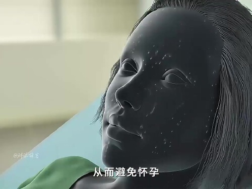 "保护机制不止是怕怀上,更怕HIV传递"科普动画冷知识管理员平台帐号我