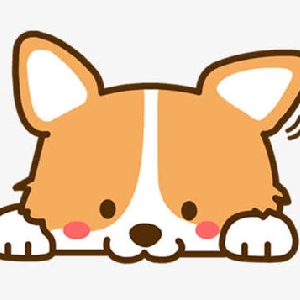 Is小肖老师 