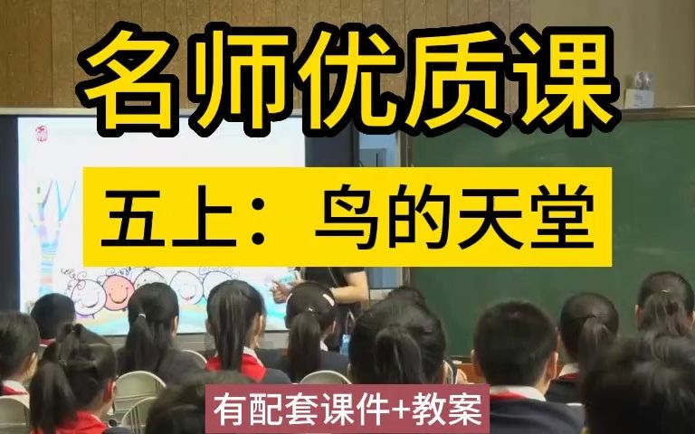 五上:7-3《鸟的天堂》公开课(课件教案)名师优质公开课教学实录课堂...