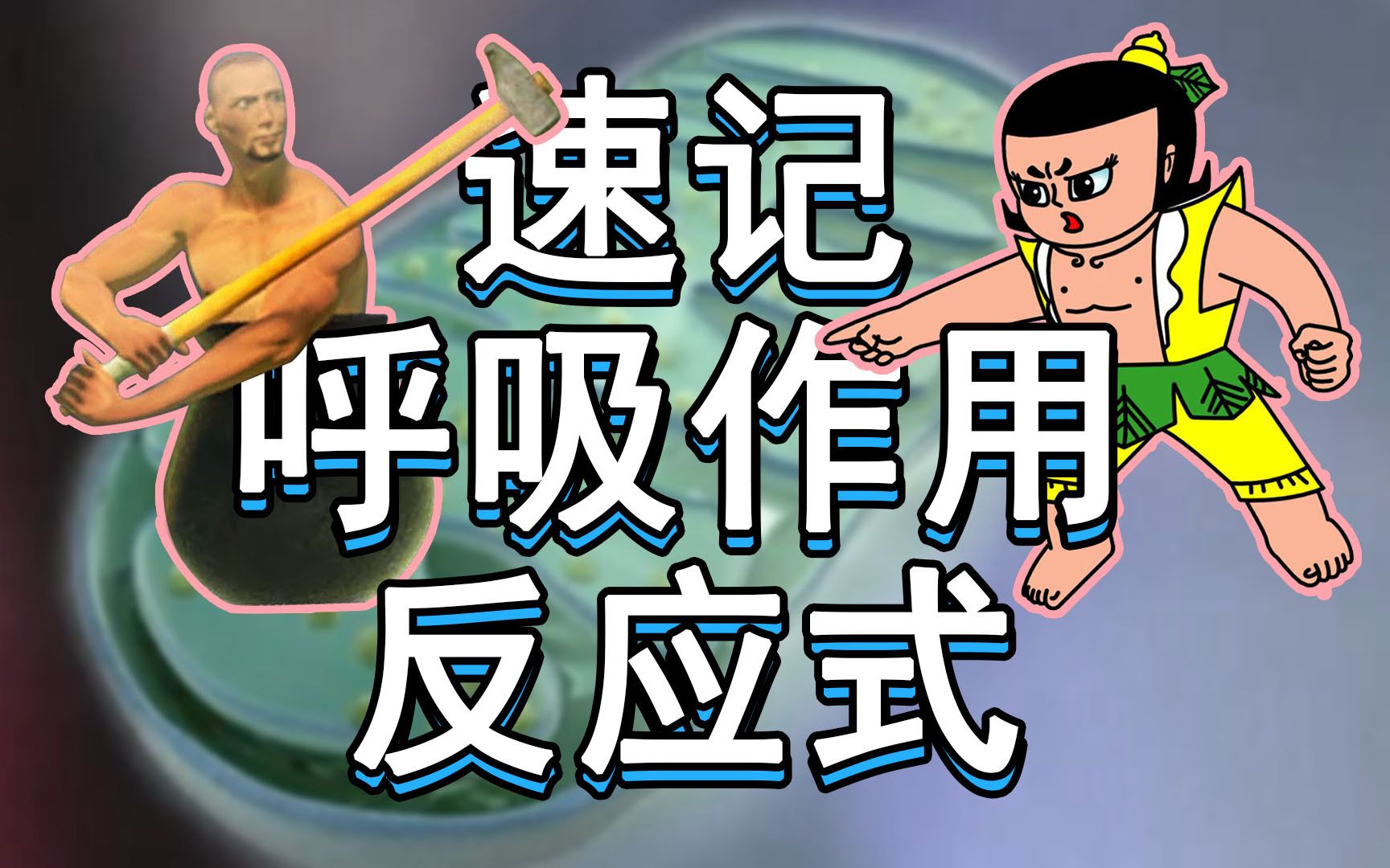 【速记高中生物】呼吸作用的反应式怎么记?300%提记忆!