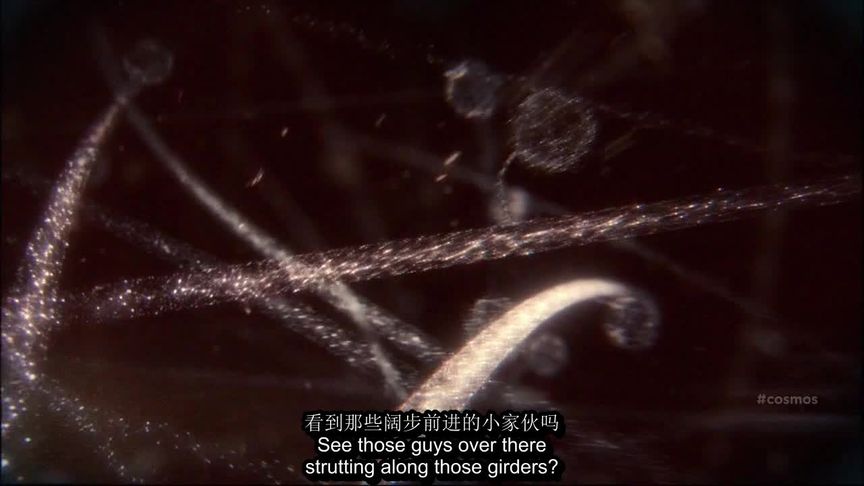 DNA双螺旋结构是如何复制的?基因突变对自然生物有哪些好处?