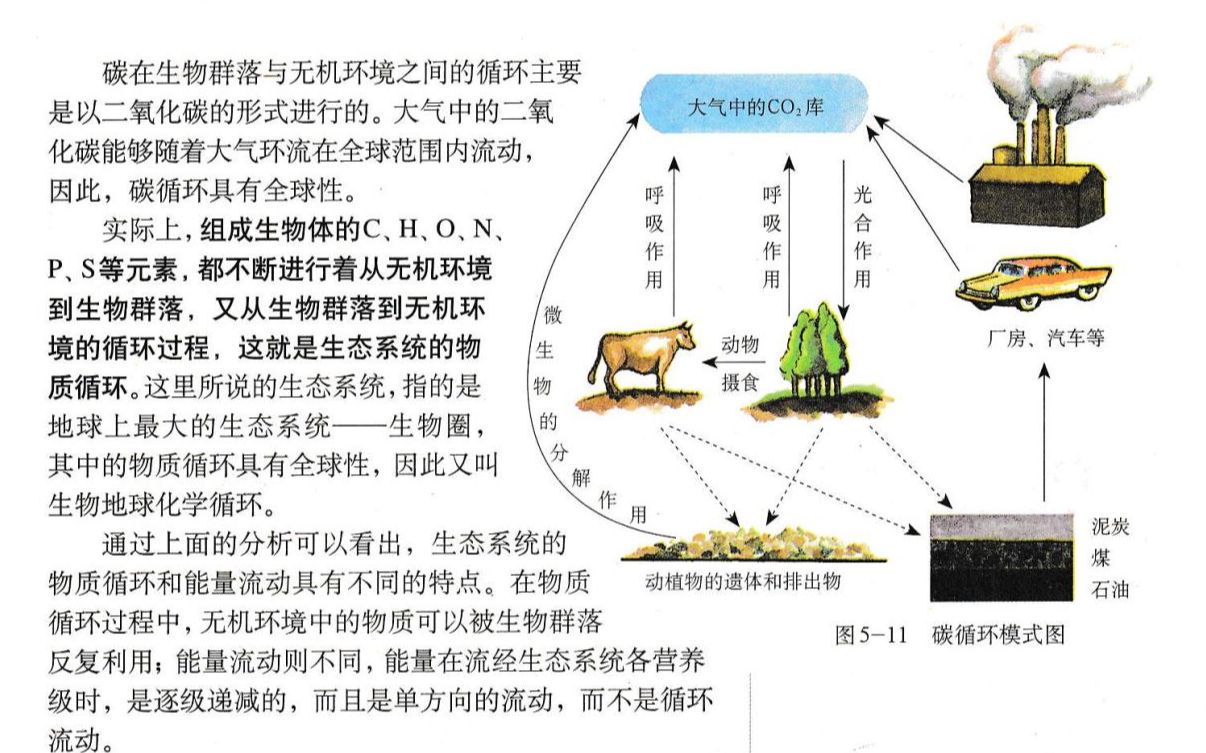生态系统的物质循环和信息传递