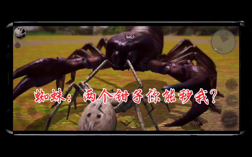 【蜘蛛模拟器】一个蜘蛛的逆袭之旅,高画质开放世界自由手游