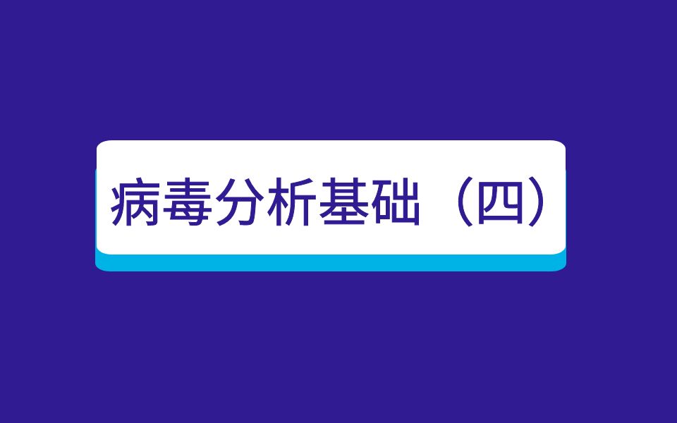 极安御信网络安全系列课程-极安御信网络安全系列课程-病毒分析基础(...