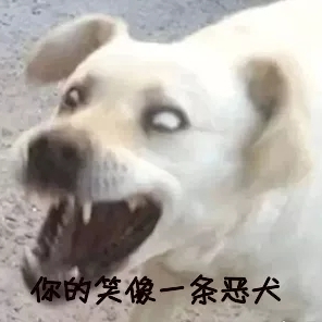学习晋升 