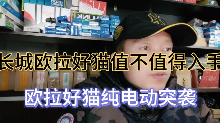 长城欧拉好猫值不值得入手,性价比如何有哪些优缺点?