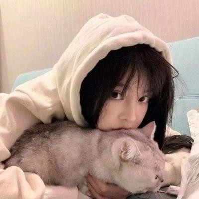 布丁猫咪超级甜甜 