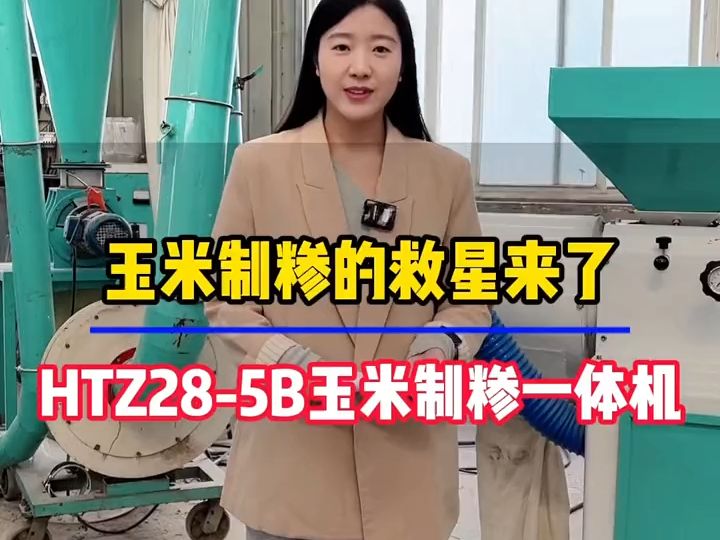 玉米糁加工农村作坊小设备 玉米脱皮制仁打糁机 玉米制糁制粉一体机