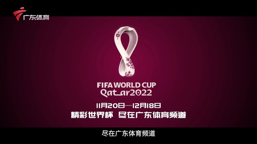 #广东体育频道全程粤语直播卡塔尔世界杯 8座球场,32支队伍