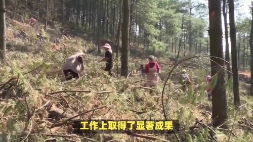 地理知识告知30%森林覆盖率是可以调节气候,现在真实调节如何呢