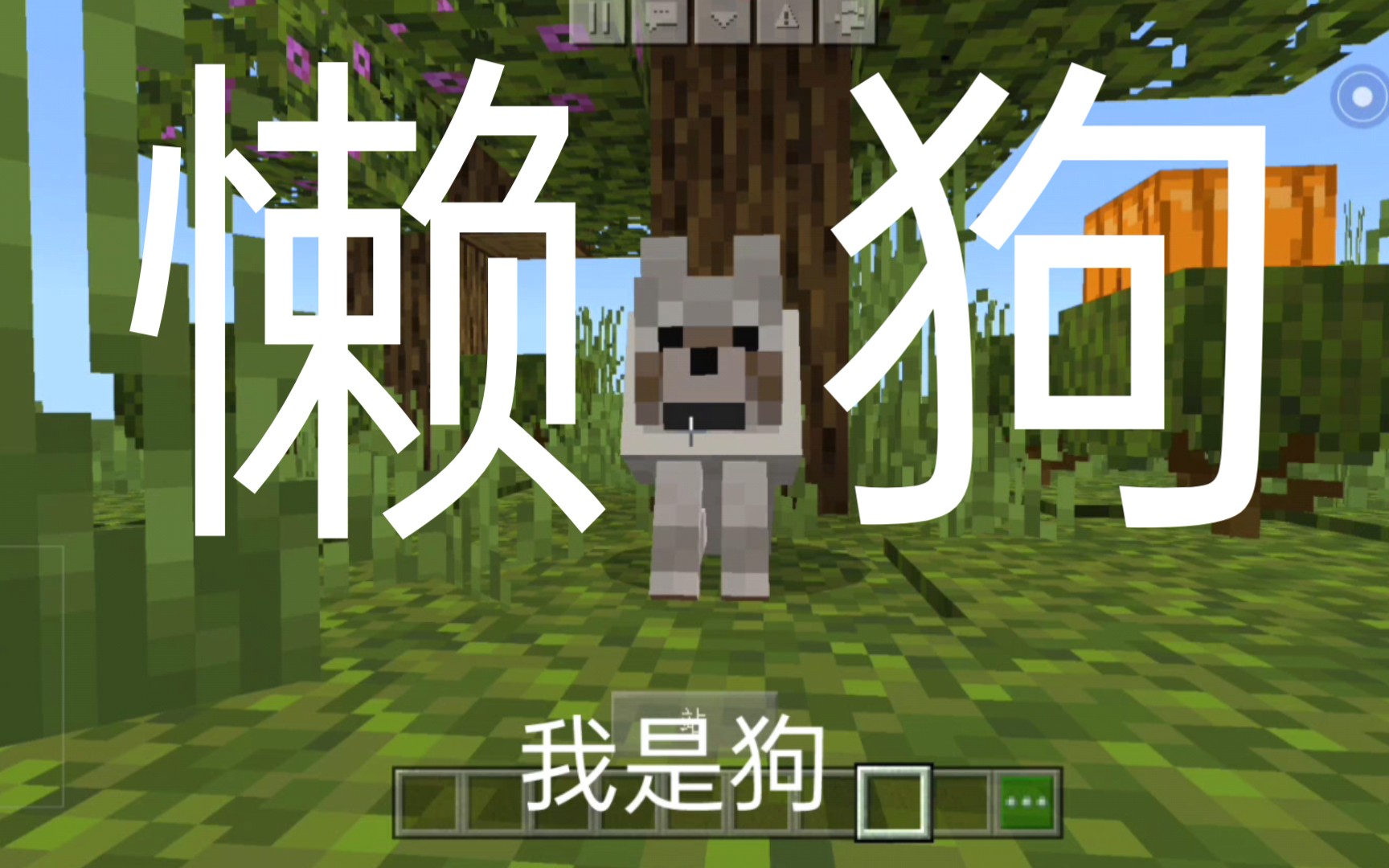 〔懒狗生存〕预告片+自我介绍