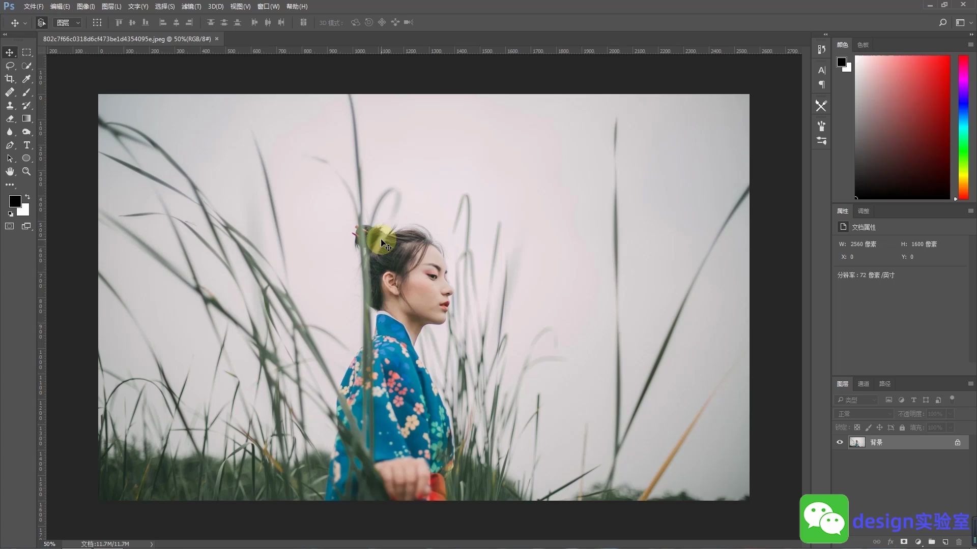 [ps教程]如何修改照片风格,让照片成为单一的色调!