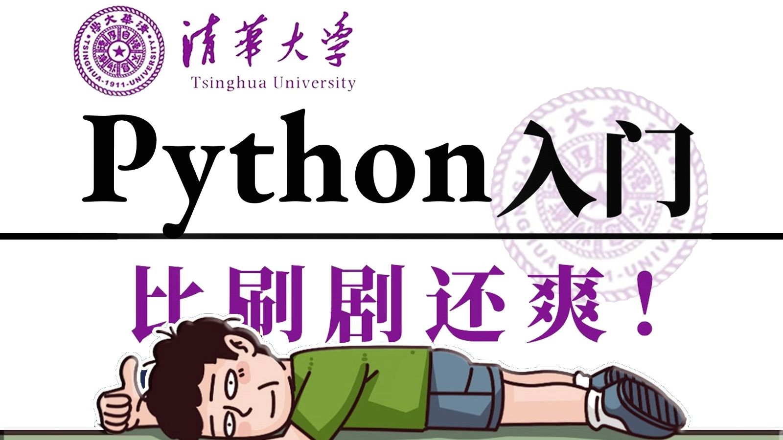 【比刷剧还爽!】太完整了!清华大佬终于把Python全套教程讲完了!2025...