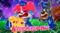 安全警长拉布拉多为救小蝶而受伤了#安全警长拉布拉多#动画