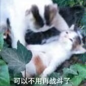 原子松氧 