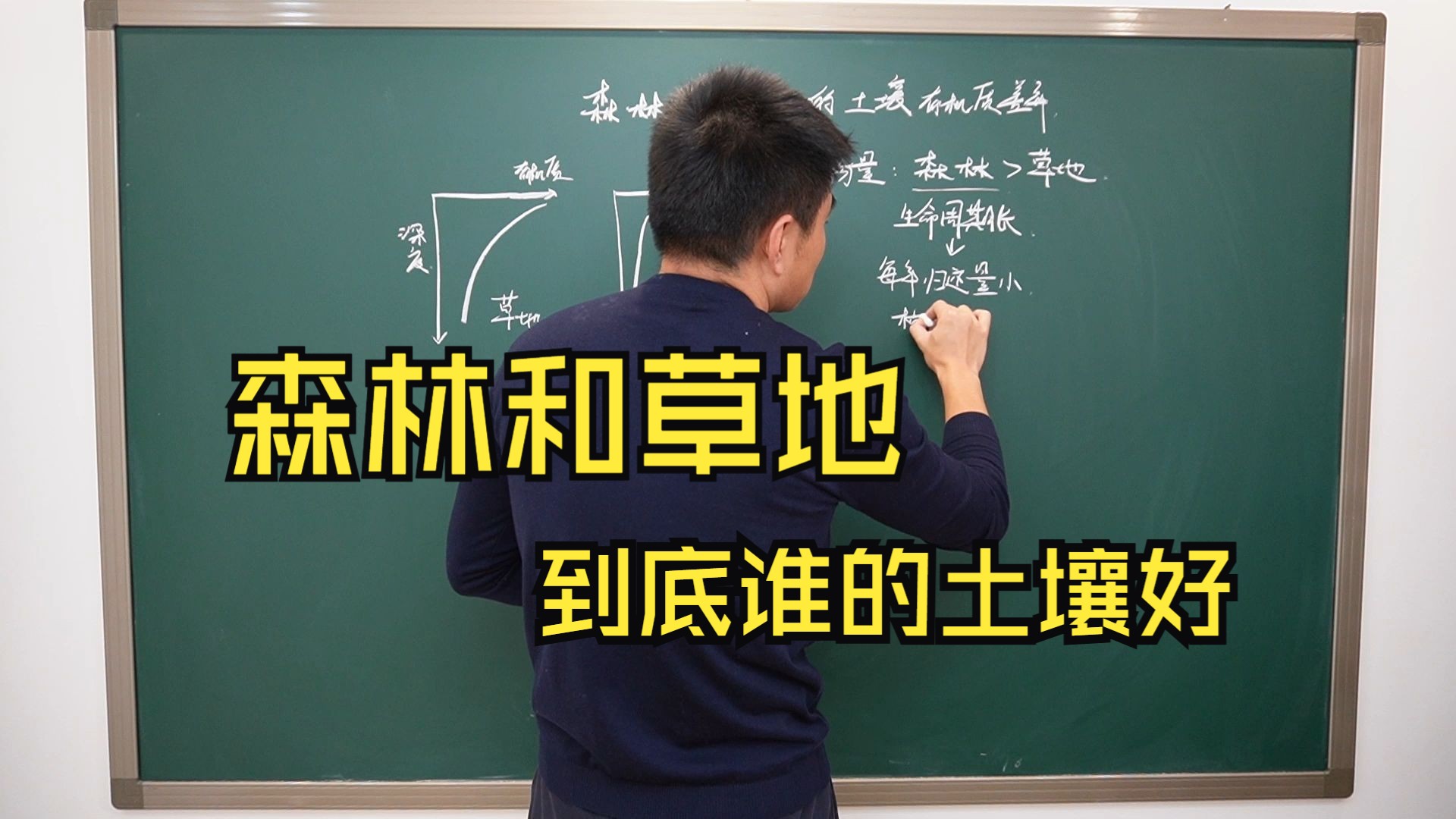 【高中地理】森林与草地的土壤有机质差异