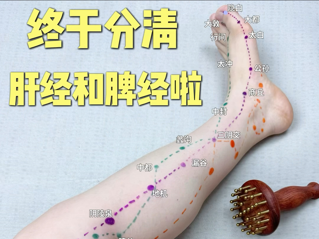 肝经脾经别再傻傻分不清楚啦,一条视频告诉你如何区分!拿走不谢!