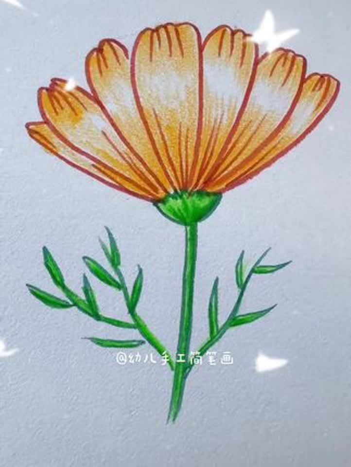 ...画花朵简单又好看 #简易花草画法 #简笔画 #儿童画 #彩铅手绘 #小花朵