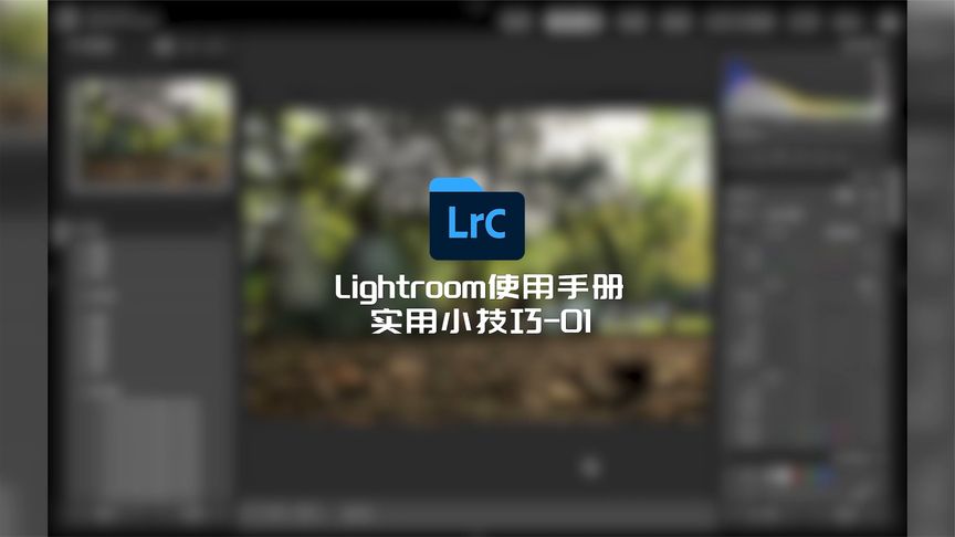 5个Lr使用小技巧,简单实用不伤手.