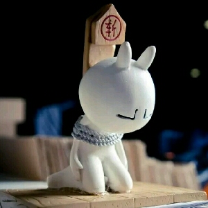 杜小鲵 