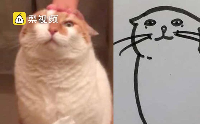 猫咪超萌简笔画爆红,还可以做文身