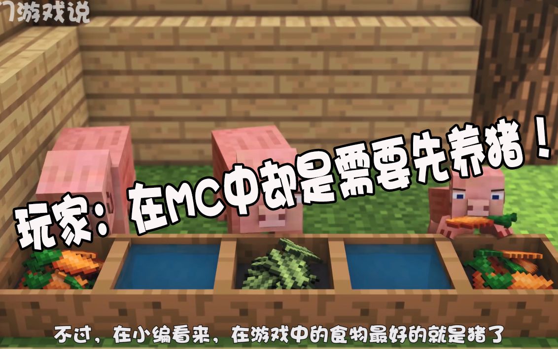 我的世界:想致富,先修路?玩家:在MC中却是需要先养猪!