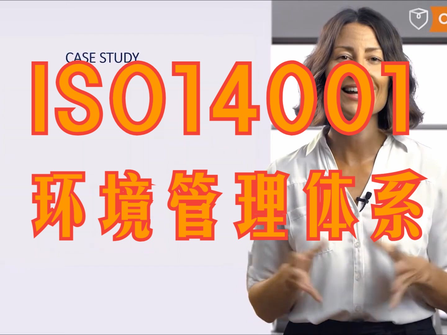 什么是ISO 14001 - 环境管理体系?